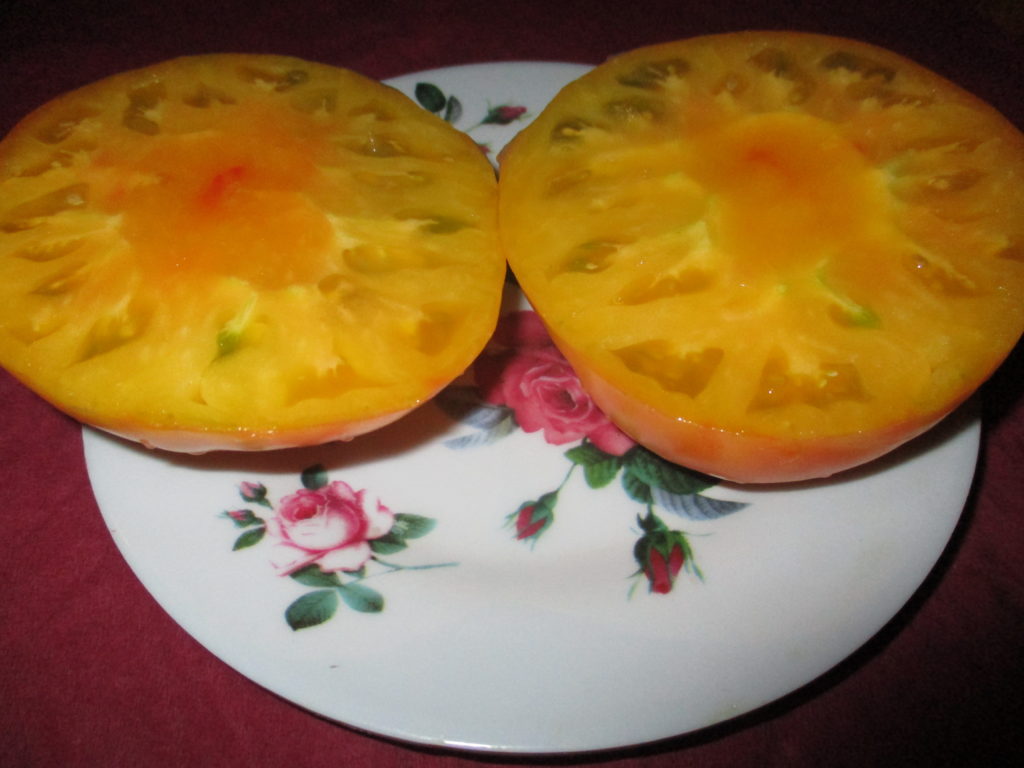 Ananas RL | Soiuri de Rosii din Gradina