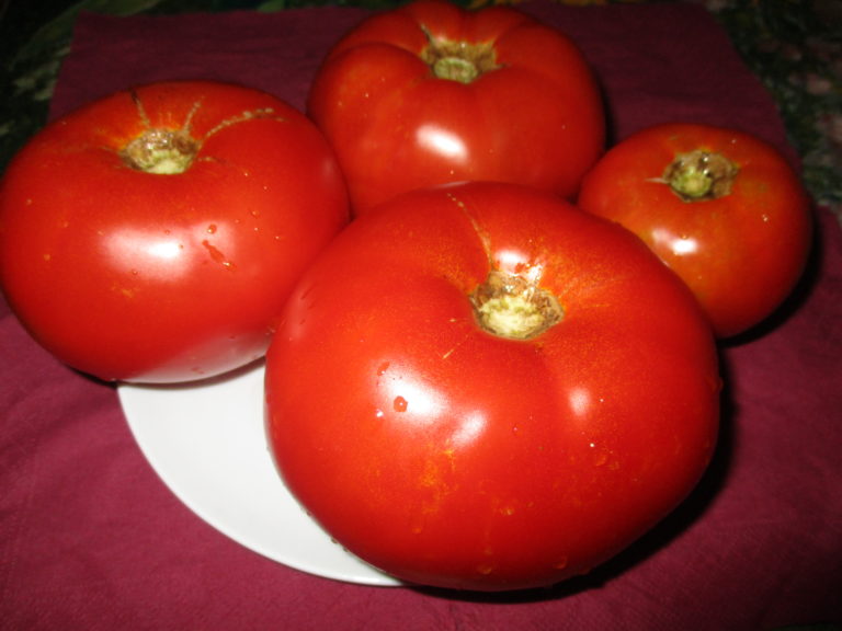 Week-end cu ciusca de ardei | Soiuri de Rosii din Gradina